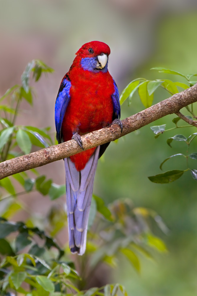 sohnjoo's photography