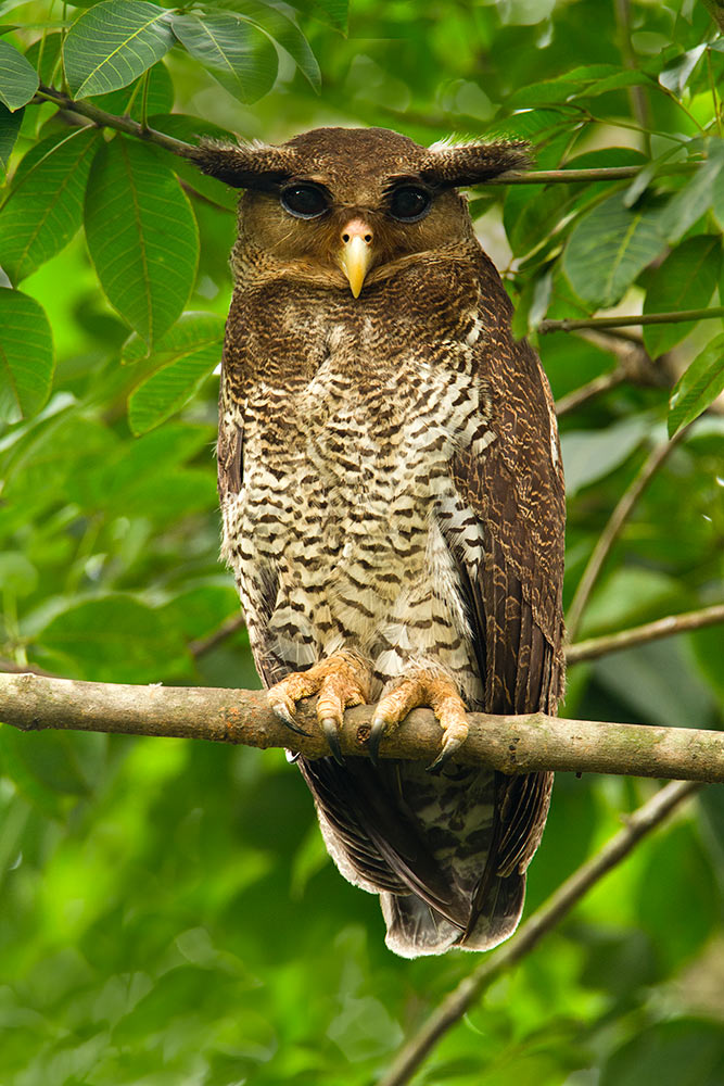 sohnjoo's photography