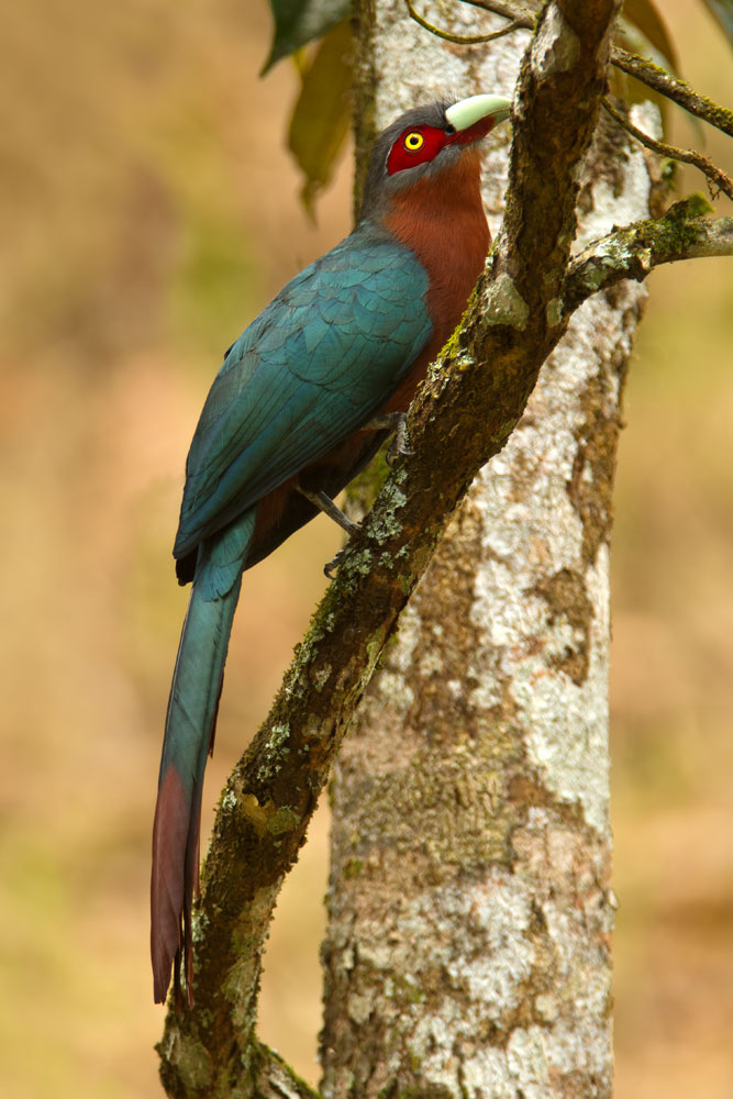 sohnjoo's photography