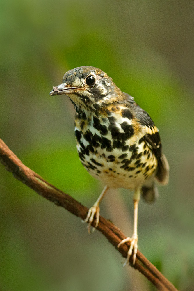 sohnjoo's photography