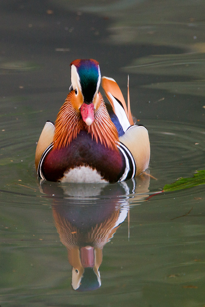 sohnjoo's photography